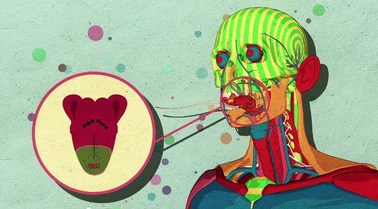 How Does Sugar Affect Your Brain how-does-sugar-affect-your-brain