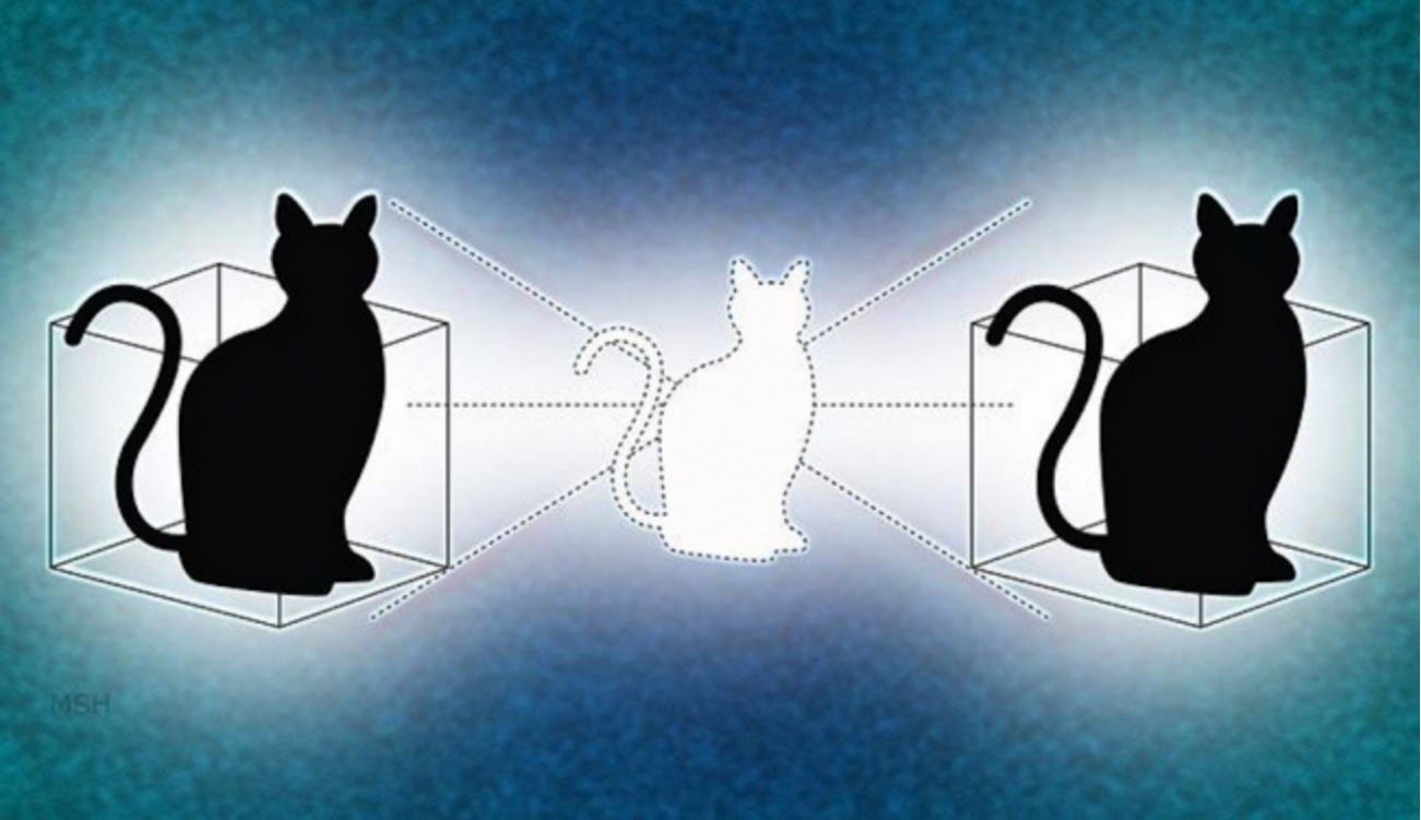 Real Life Yale Experiment Reveals Schr dinger s Cat Can Be In 2 Boxes At Once
