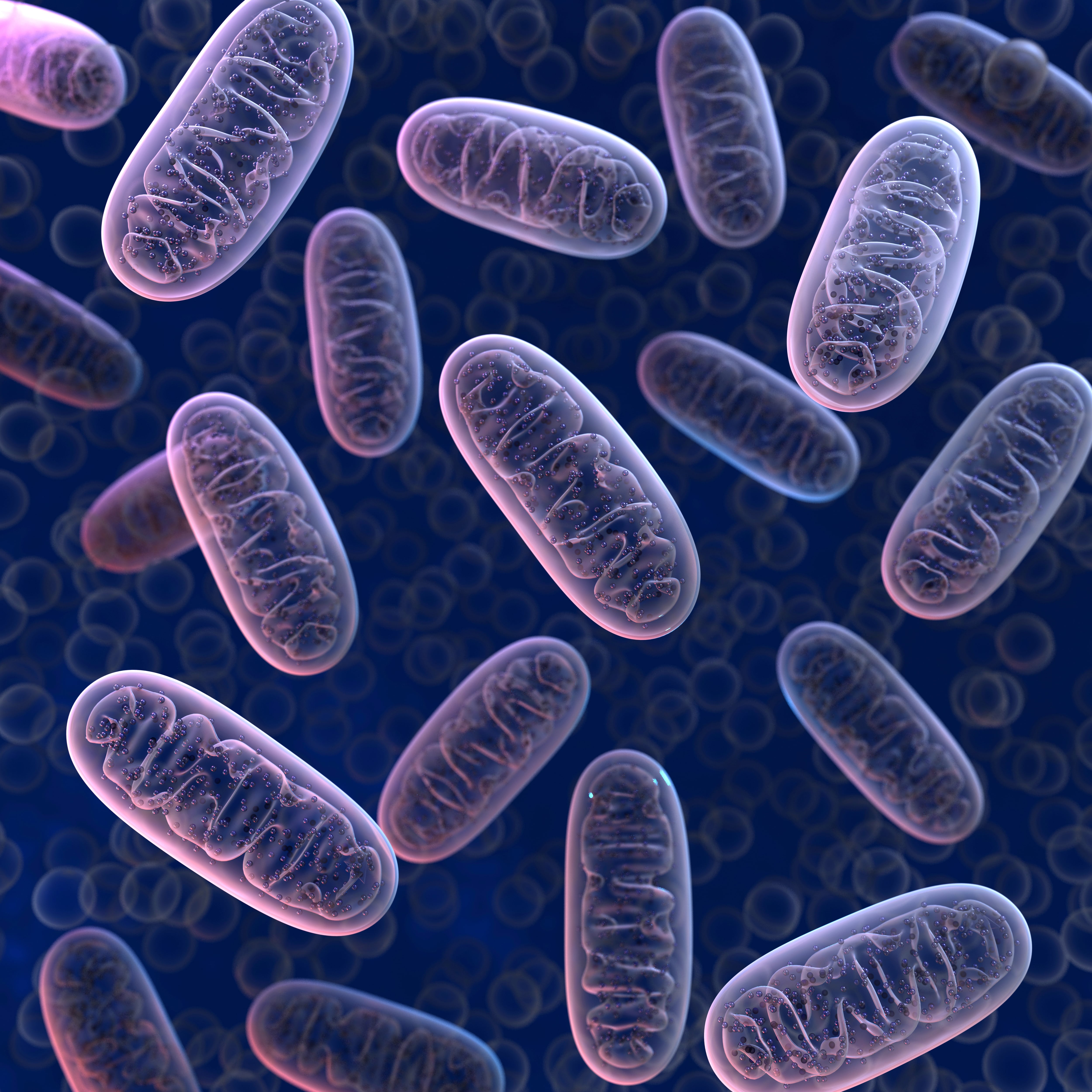 Scientists May Have Uncovered The Key To The Origin Of Complex Life scientists-may-have-uncovered-the-key-to-the-origin-of-complex-life