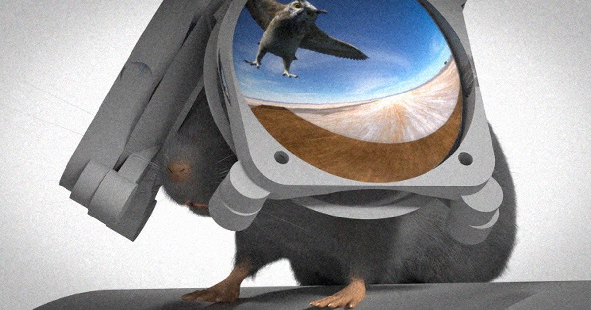 Scientists Create Comically Gigantic VR Goggles for Mice Scientists Create Comically Gigantic VR Goggles for Mice